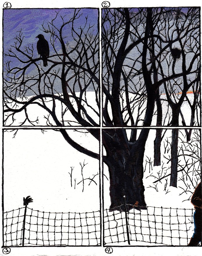 silhouette guessing game | Lynne Rae Perkins