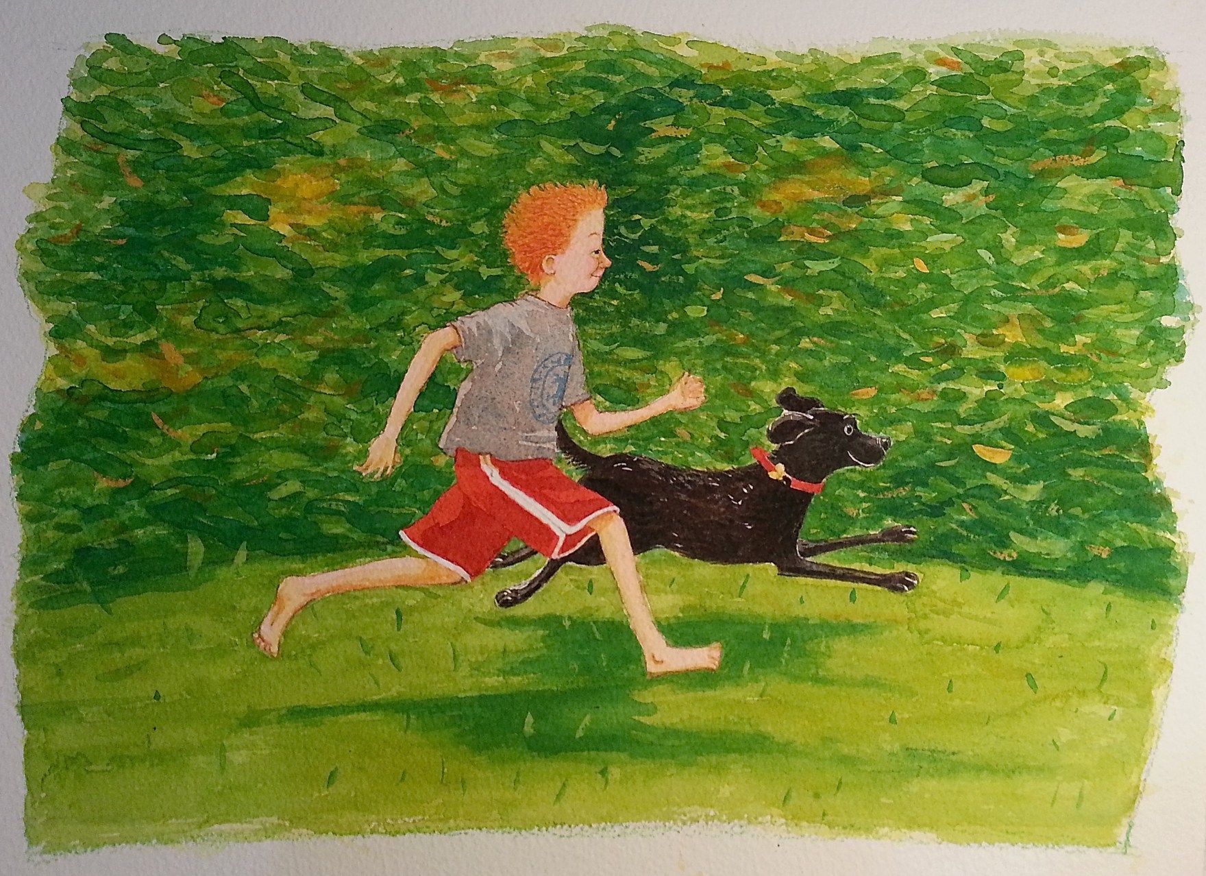 Frank and Lucky Get Schooled | Lynne Rae Perkins